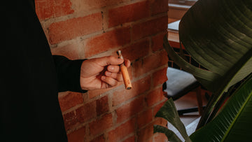 FUM Device + Complete Cores – Füm